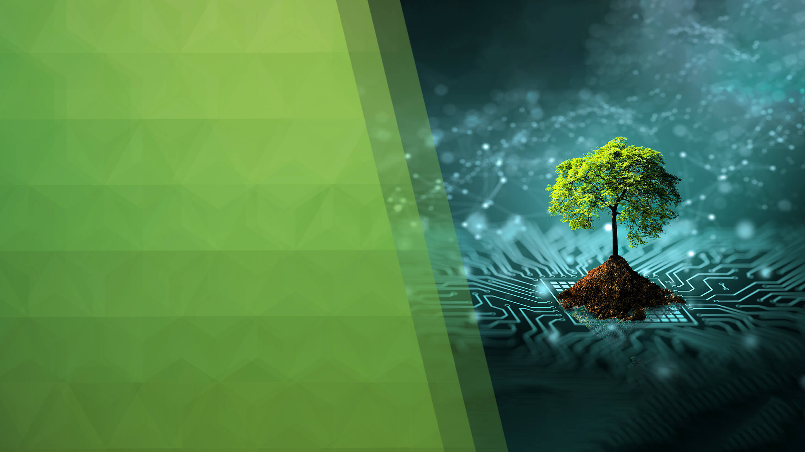 Hyve Managed Hosting | Your Cloud Experts